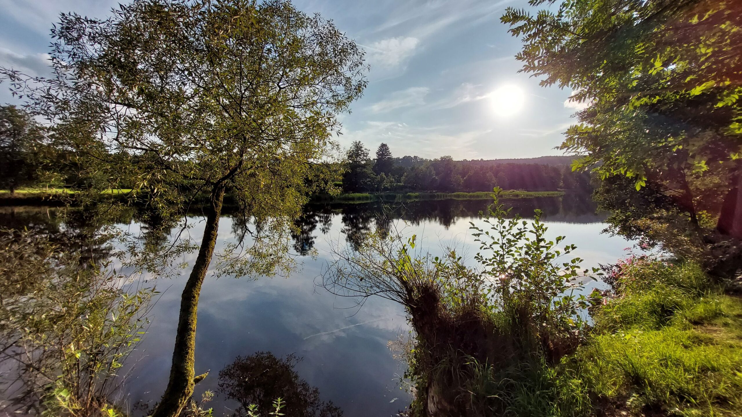 Umweltberichte - Hoock & Partner Sachverständige - Beratende Ingenieure